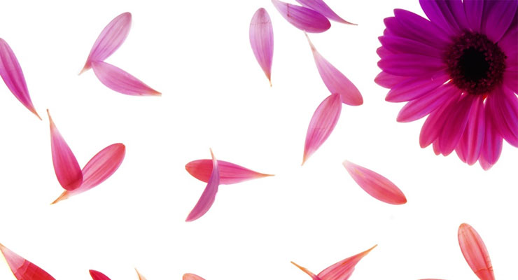 Liberty Flowers Romford - Order Online or 01708 743033